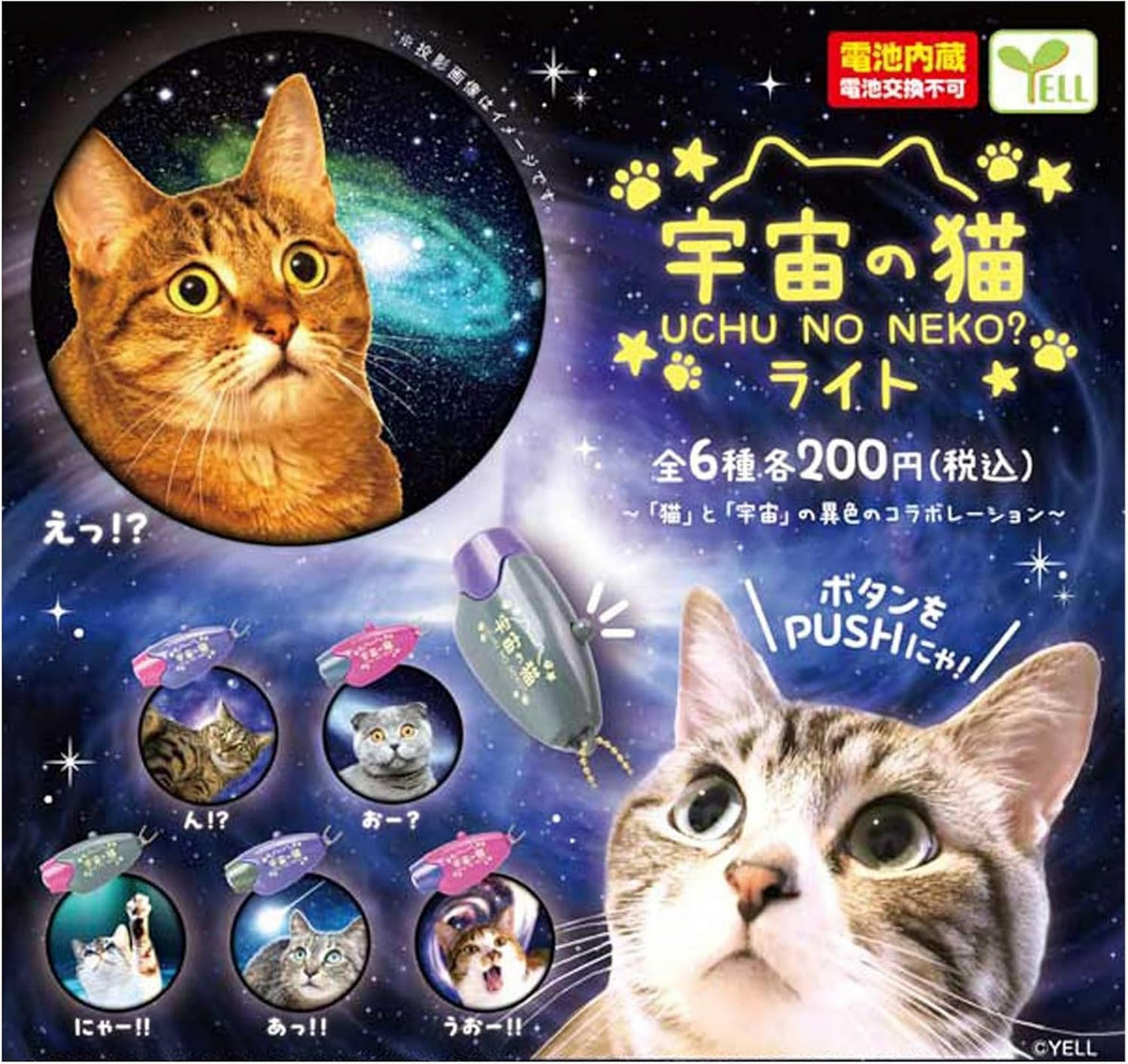 Uchu no Neko Light — Ninoma