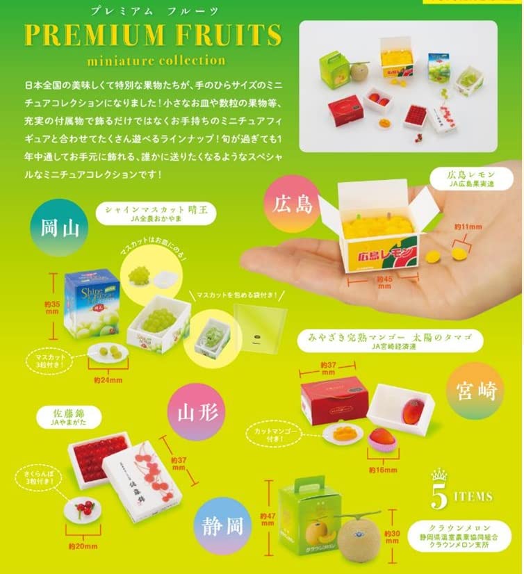 Premium Fruits Miniature Collection Box — Ninoma